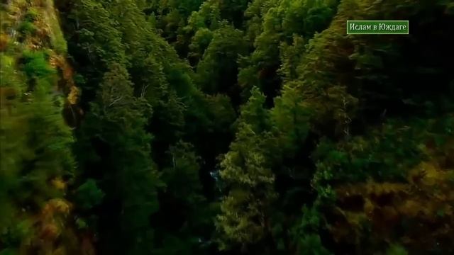 Красивое чтение Корана на фоне природы. Шейх Ахмад аль-Аджми
