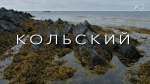 Кольский. Рыбачий. Мыс Немецкий. Часть 3