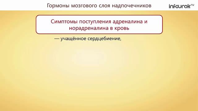 42. Железы внутренней секреции и их функции