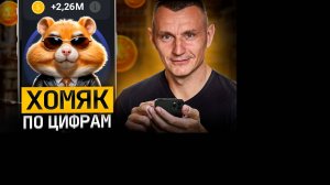 Вся правда про Hamster Kombat по нумерологии. Как игра Хомяк забирает у нас энергию?