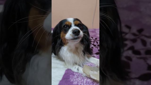 Как умеем так и двигаемся ☺