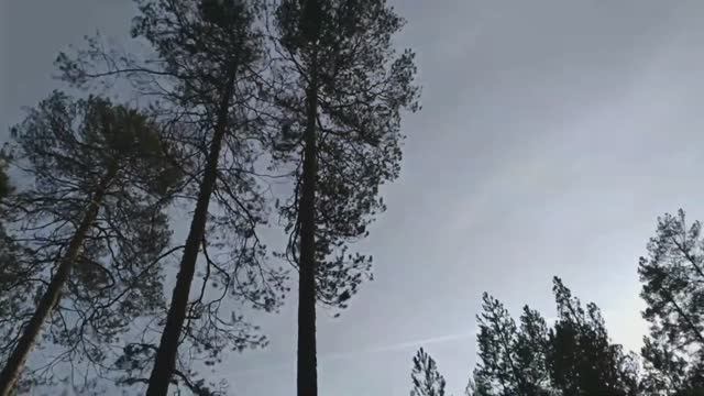 Металлокоп и не только.