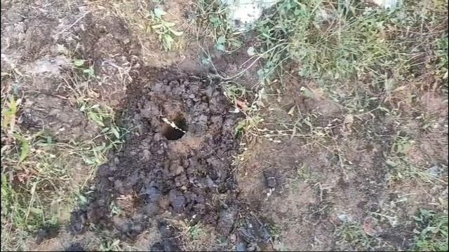 Пробное бурение под сваи как проводится в Санкт-Петербурге - выполнили для бани под ключ из Пестово