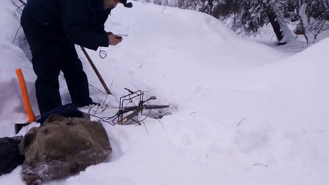 капканы на бобра,установка под лед