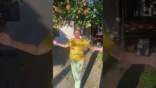 Это яблоня. Это яблоки. Я под яблоней.