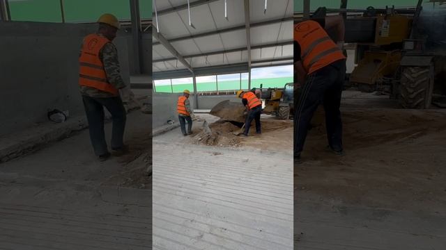 работалопатой#копкатраншеи#стройка#строители#приколынастройке#успехнеизбежен#строительныйюмо#биззон