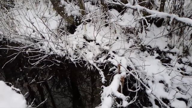 Поход к избушке. Часть первая, установка капканов. Первый снег.