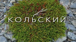 Кольский. Скалы Два брата. Батарея Поночевного. Часть 4