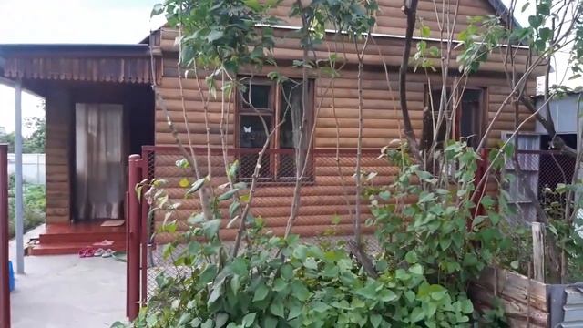 Обрезка сирени 2 в 1. Как обрезать сирень и "Убить двух зайцев"? Как сделала я?