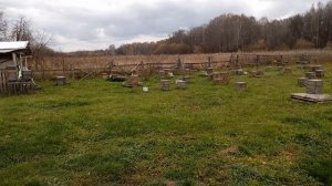 миг на пасеке 7 октября 24 года.