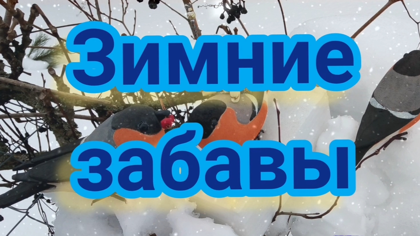 Зимние забавы. Снежный Зевс