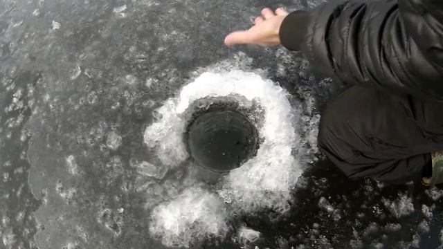 Первый лёд. Зимняя рыбалка 2020-2021. Ловля щуки и окуня.