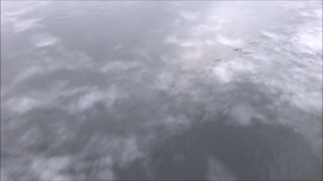 2016. Лёд
