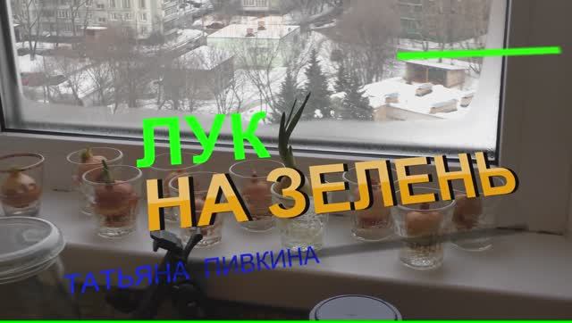 Домашний огород (ч.19). Лук на зелень с Татьяной Пивкиной. ФЕВРАЛЬ
