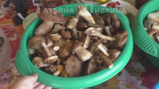#Грибы сушим на зиму, собрала моя дочка. 24 августа с Татьяной Пивкиной
