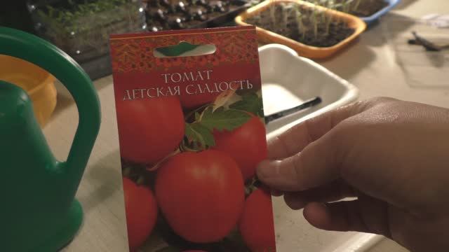 Томаты (ч.5) «Детская сладость» - сеем семена на рассаду с Татьяной Пивкиной 8 марта (N5)