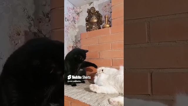 Пальчиками дрожью по щеке❤️