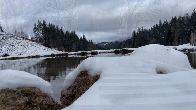Новогодняя музыкальная открытка Восточного Сараева "В лесу родилась ёлочка"