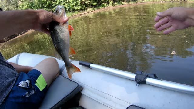 Поклёвка на каждом забросе!!! Рыбалка на окуня в Самарской области.