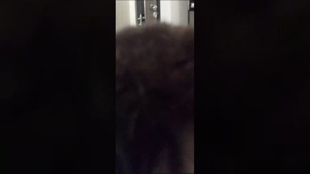 парькурь акончень