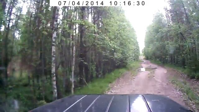 Главная дорога на Бабье озеро на рыбалку