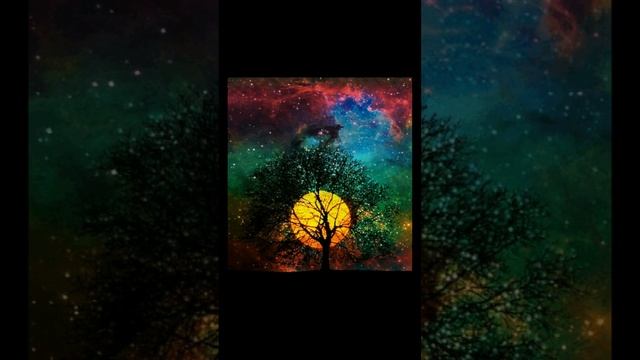 Ex oriente lux (Свет с востока) - Егор Малыков #shorts #musicvideo #short #музыка #shortvideo #music