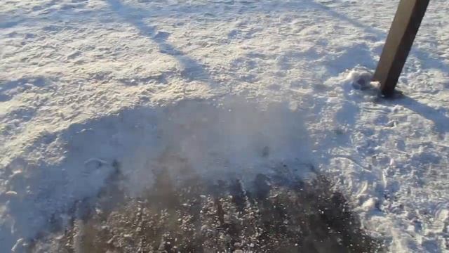 Безмолвный полет