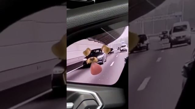 AUDI 55 QUATTRO FUNNY MIRROR — AUDI 55 QUATTRO СМЕШНОЕ ЗЕРКАЛО