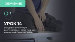 Урок 14. Укладка животного при рентгенографии пояса грудных конечностей. Запястье, кисть