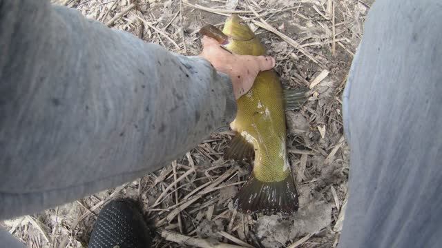 Рыбачил на плотву, а тут он !!!