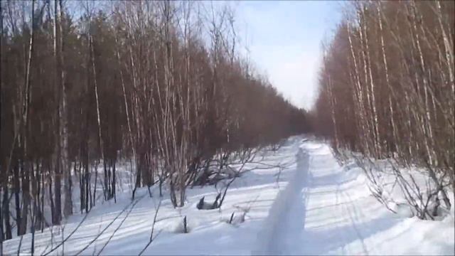 На лыжах до Сухой избы 28 03 21