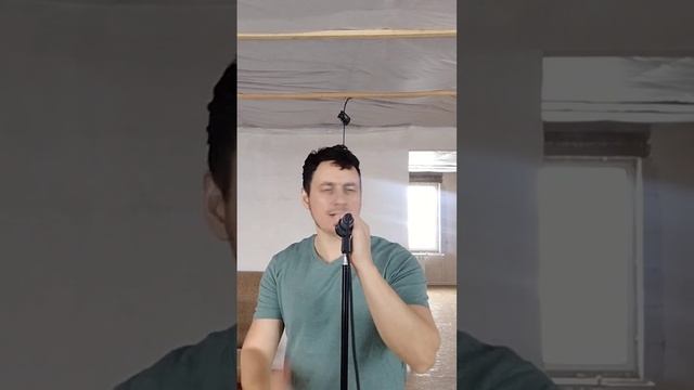 розовые розы
