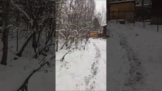 д. Аксаново 50:18:0070213:4135