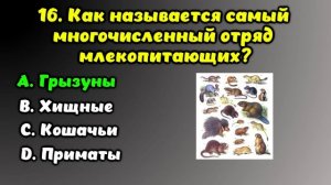 Как вы учились в школе? Тест на знания #4