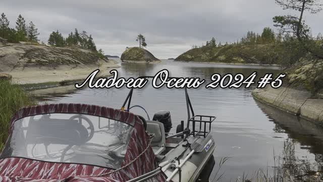 Ладога Осень 2024 #5