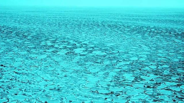 Белое море, блинчатый лед