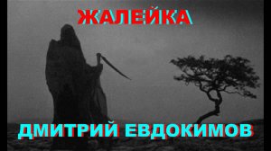 "Жалейка" - Дмитрий Евдокимов (муз.Малыков Е., сл.Евдокимов Д.)