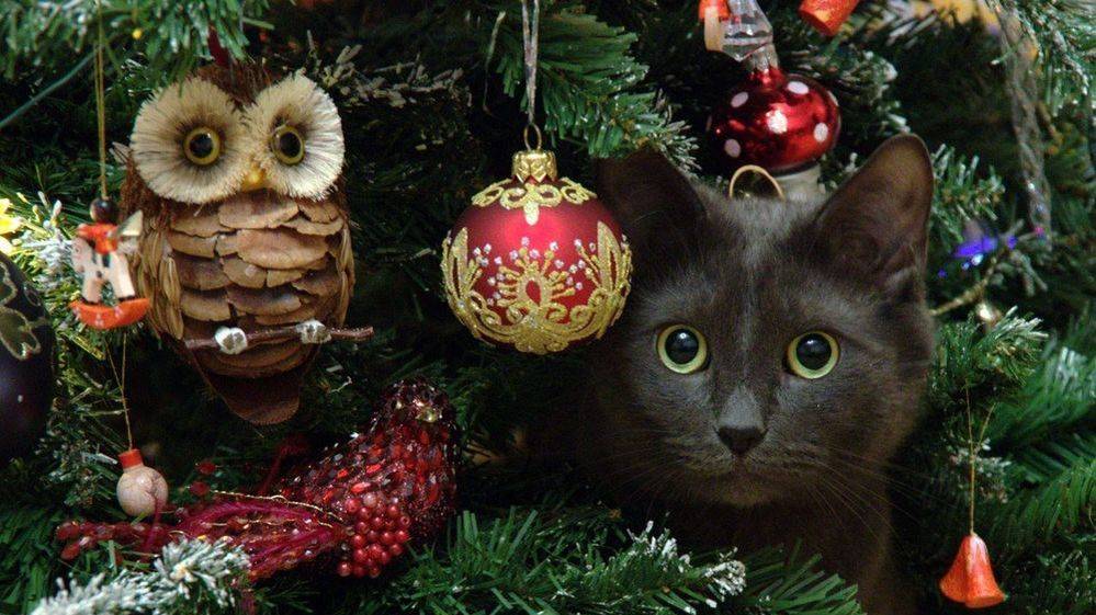 В новогоднюю ночь 1 и 2