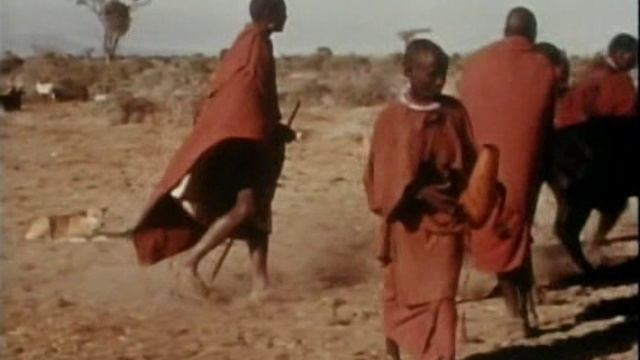 Млекопитающие. Дикий мир 1 сезон 16 серия (документальный сериал, 1999)