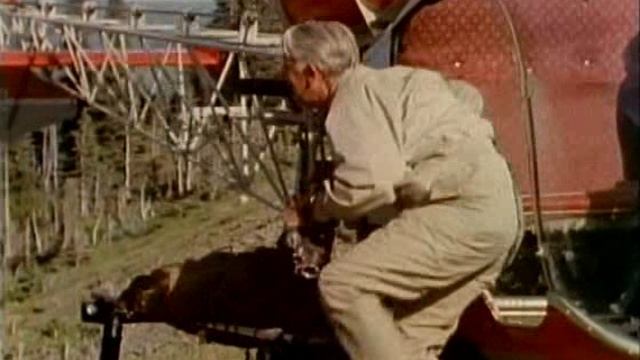 Млекопитающие. Дикий мир 1 сезон 10 серия (документальный сериал, 1999)