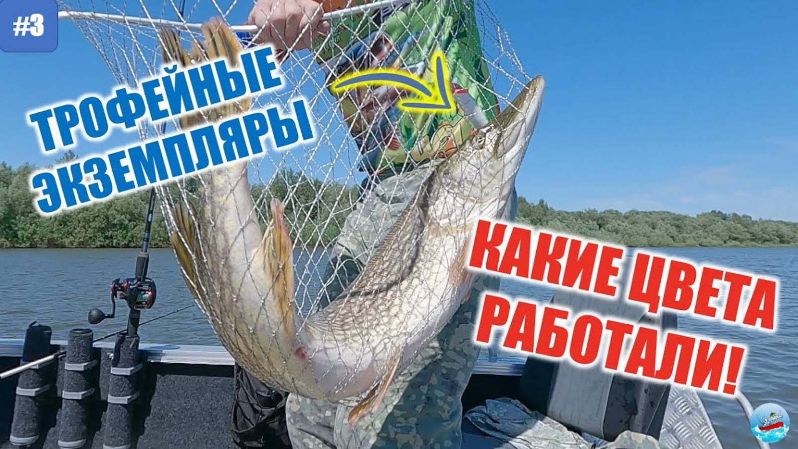 Наши ТРОФЕИ АХТУБЫ. Подборка воблеров. Гоняем окуня в заброс