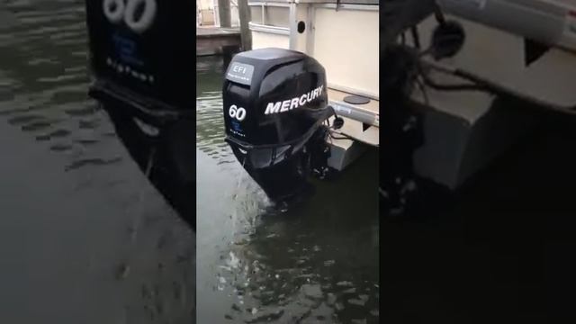 2008 Mercury 60hp 4-Stroke EFI Big Foot Outboard Motor