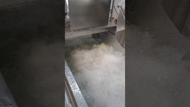 Машина мойки овощей ММО-1000 / 6281915@mail.ru / Пищевое Оборудование РФ