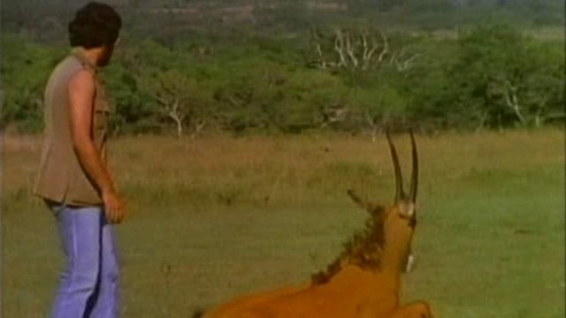 Млекопитающие. Дикий мир 1 сезон 12 серия (документальный сериал, 1999)