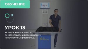 Урок 13. Укладка животного при рентгенографии пояса грудных конечностей. Предплечье