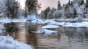 Зима. Лесная речка. Зимний футаж. Красивый футаж для видео. Фоновый футаж. Видеофон.