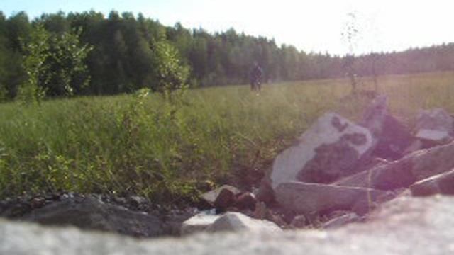 На велосипеде по болоту 18.06.2010