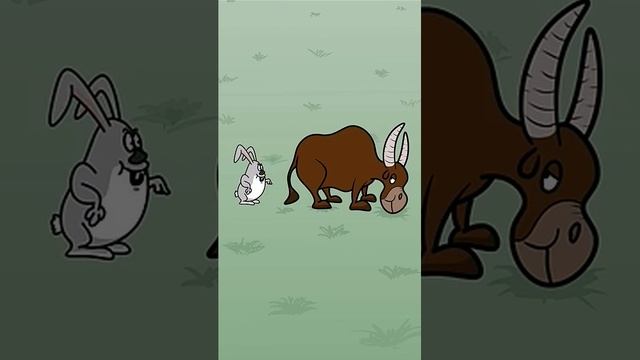 Заяц и бык приколы