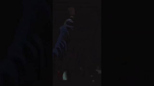 Всегда в памяти эти моменты!  #элвингрей #elvingrey #концерт #элдермеш  #музыка