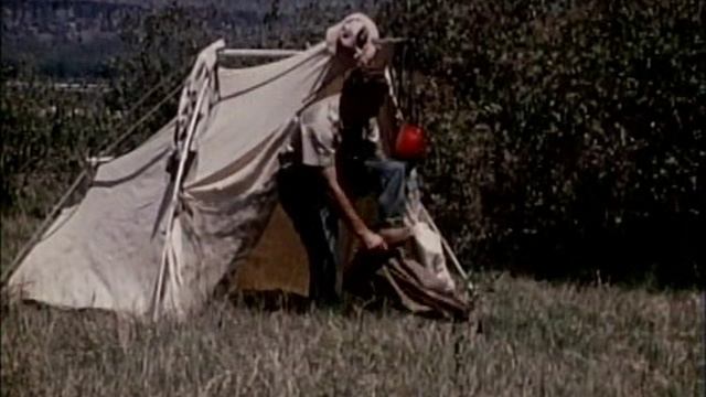 Млекопитающие. Дикий мир 1 сезон 3 серия (документальный сериал, 1999)